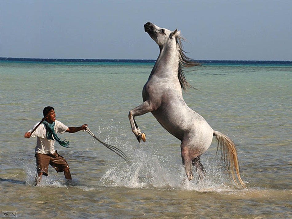 Amaze Pics & Vids: Unique Photos - Beautiful Collection...