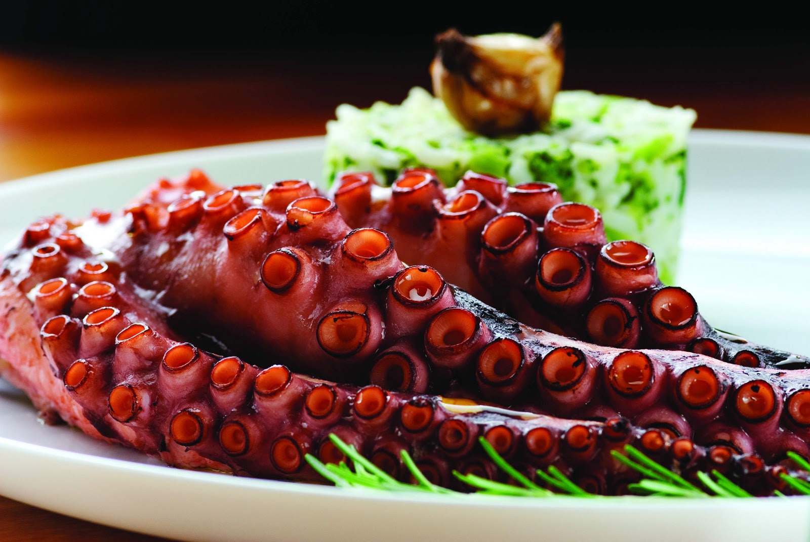 Pousada dos leitões: Rico polvo