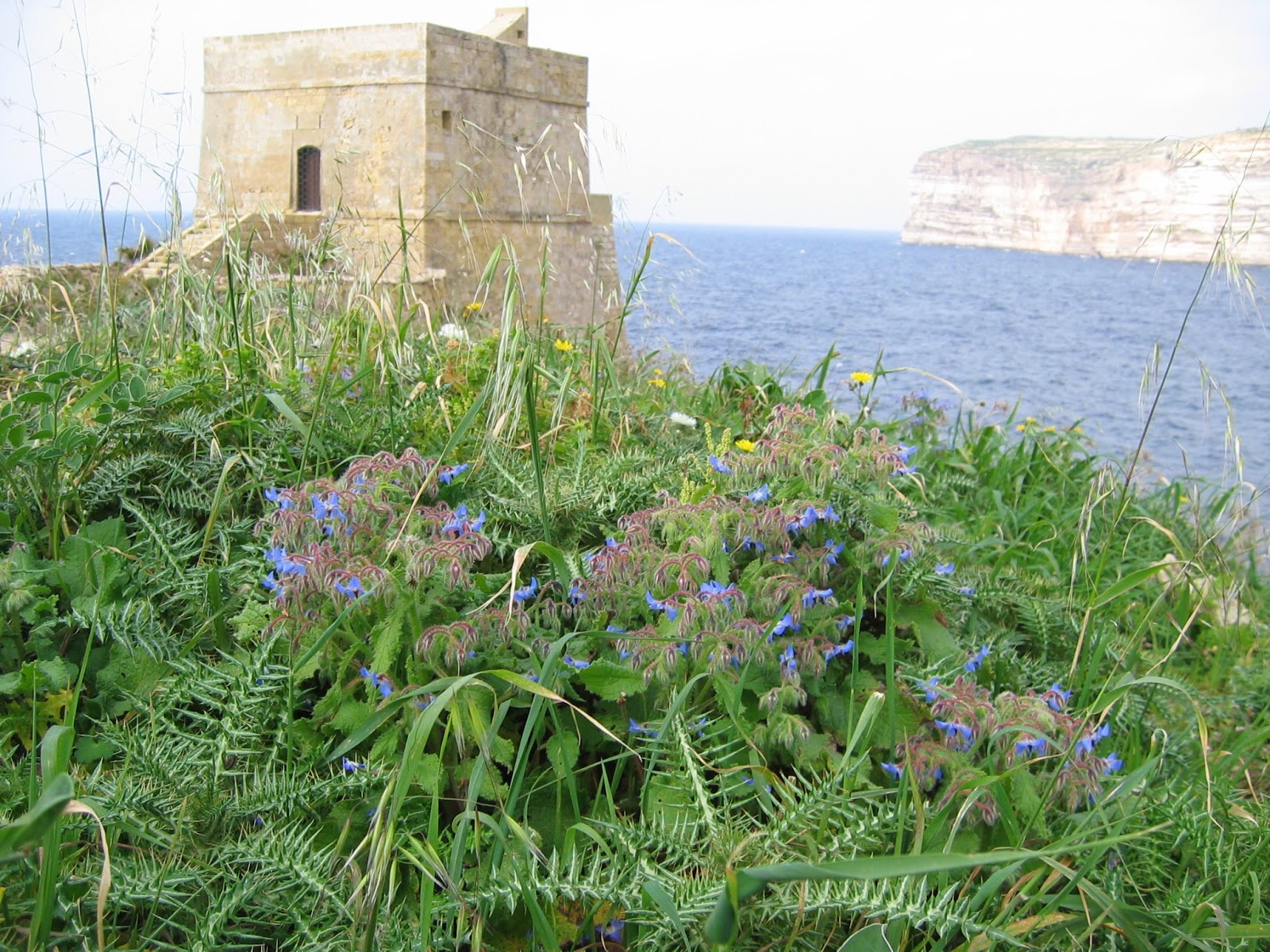 Malta and Gozo Natural Scenery: From Xlendi to Ta' Cenc