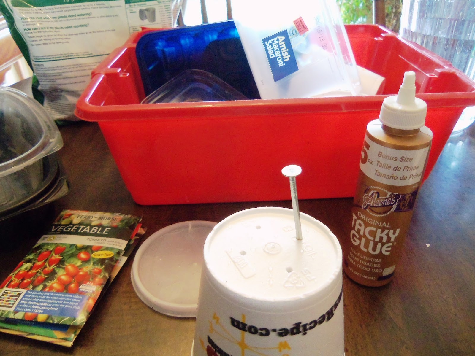 Grandma Bonnie's Closet: Starting Vegetable Seeds With Recycled Containers