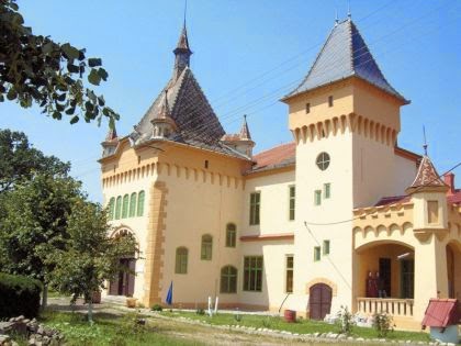 PARADISUL VERDE...: Cele mai frumoase castele din ROMÂNIA
