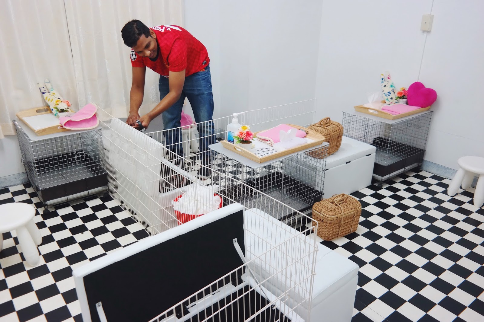 Bunny Cafe in Asakusa, Tokyo (Seriously, a cafe with loads of rabbits ...