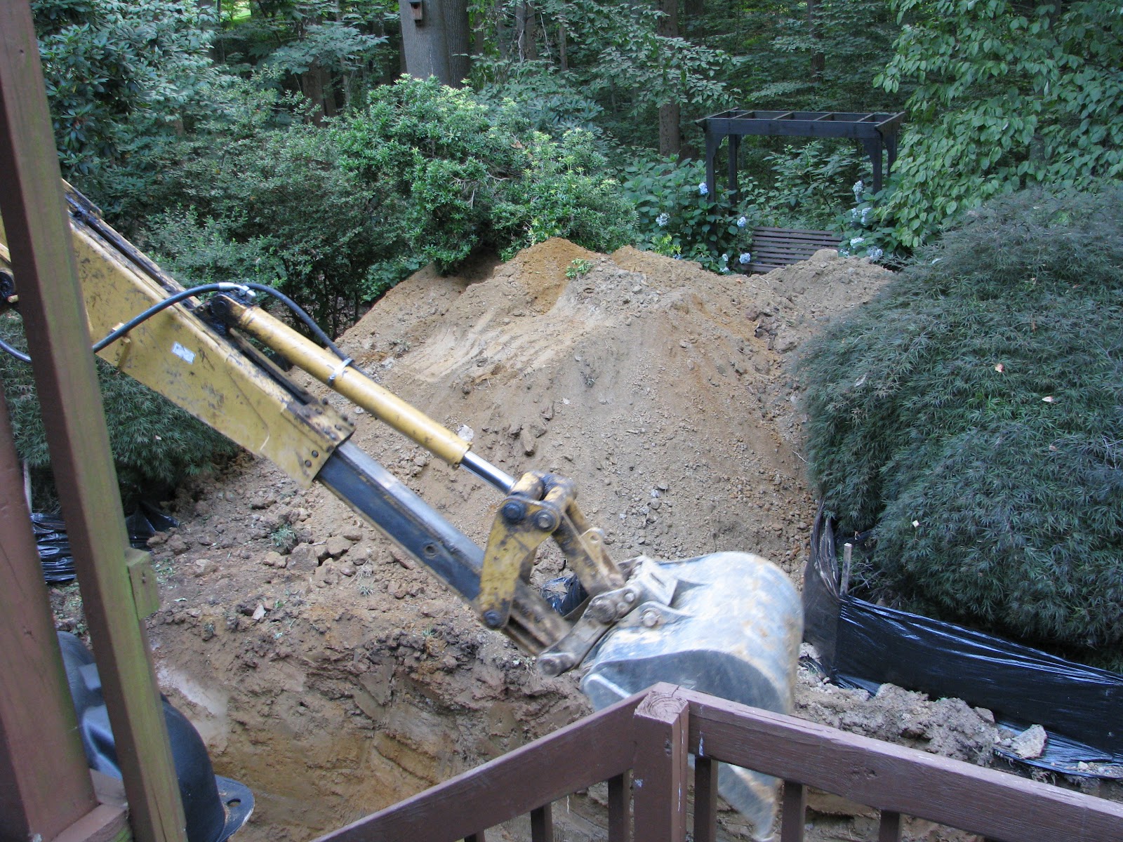 Designs by Pinky: ~~~DISASTER in the Backyard!!!~~~