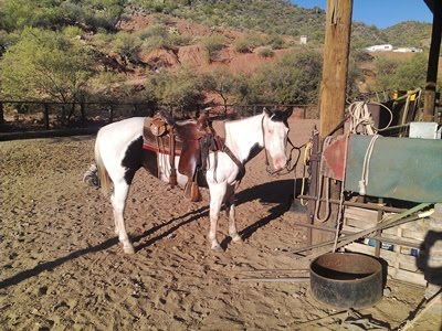 Vacation at the Williams Family Ranch, Arizona