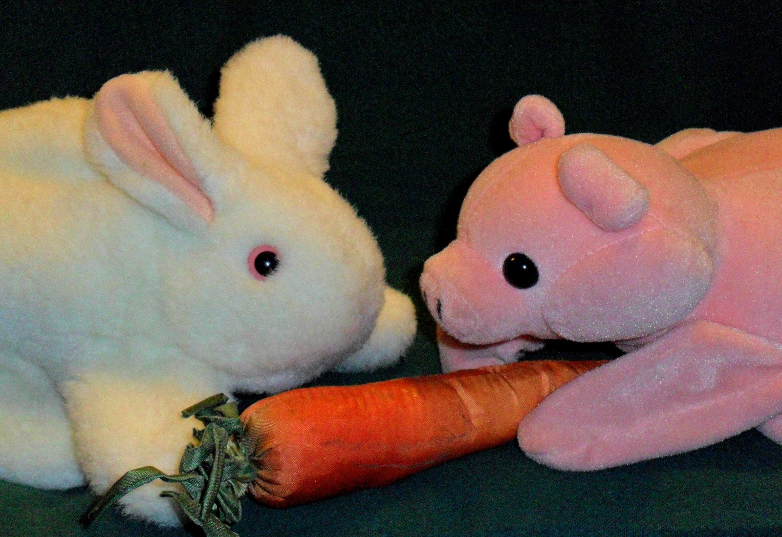 Beyond the Book Storytimes: How Kind - Pig Pays It Forward