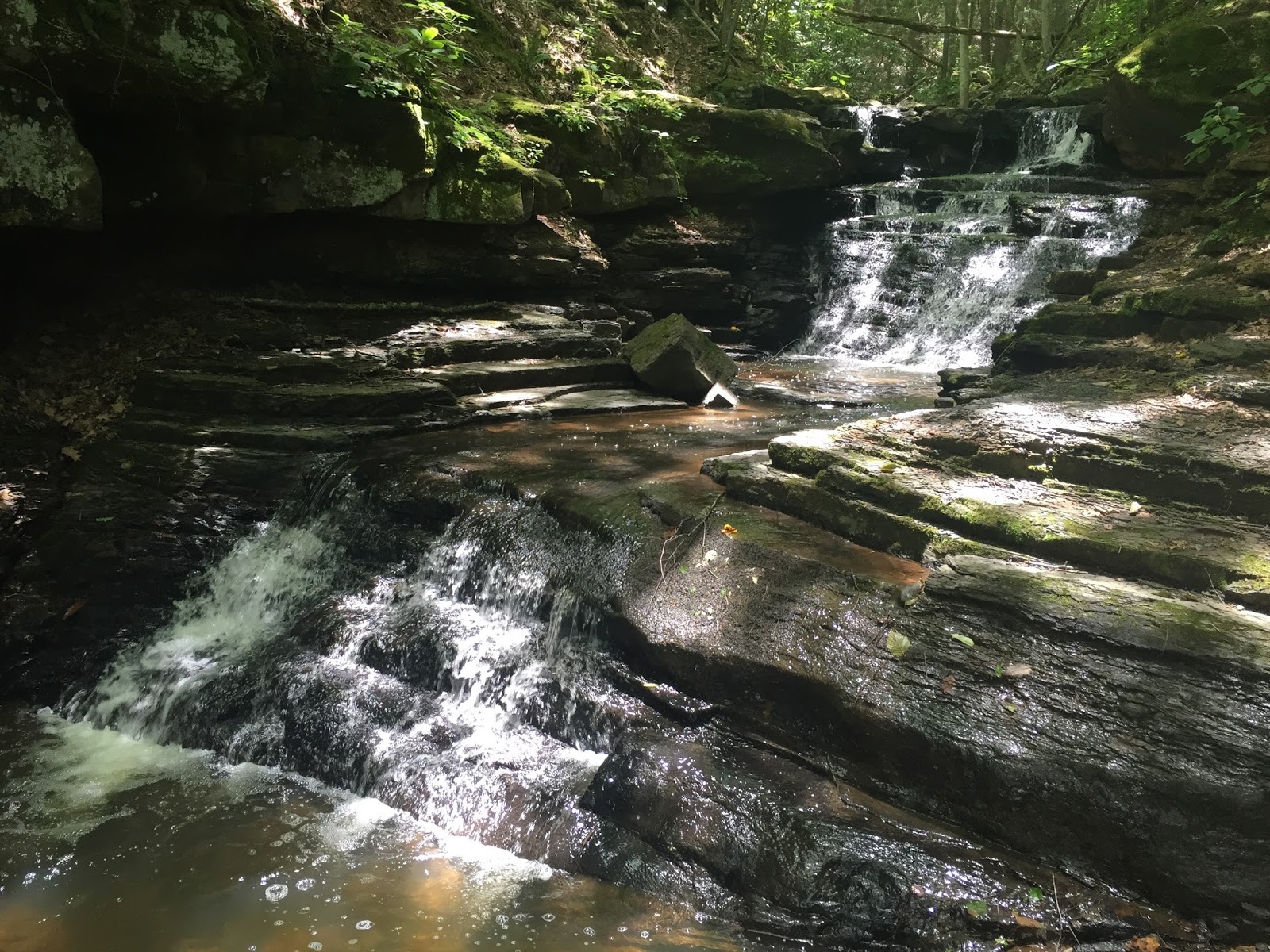 Cozy Rosie: Pipestem Resort State Park - West Virginia
