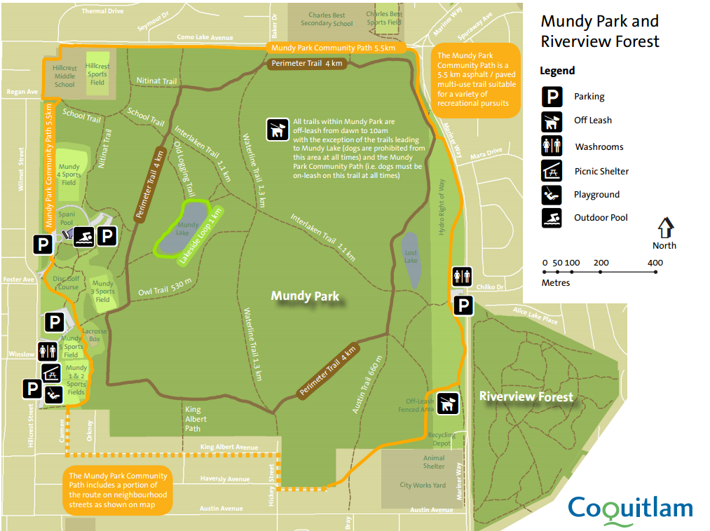 IF MY RUNNING SHOES COULD TALK