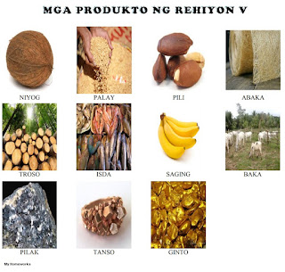 My Homeworks: produkto ng bicol