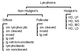 Lymphoma Cancer Diseases: What Are the Types of Lymphoma?