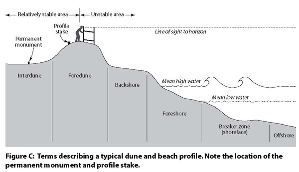 science blog of stuff