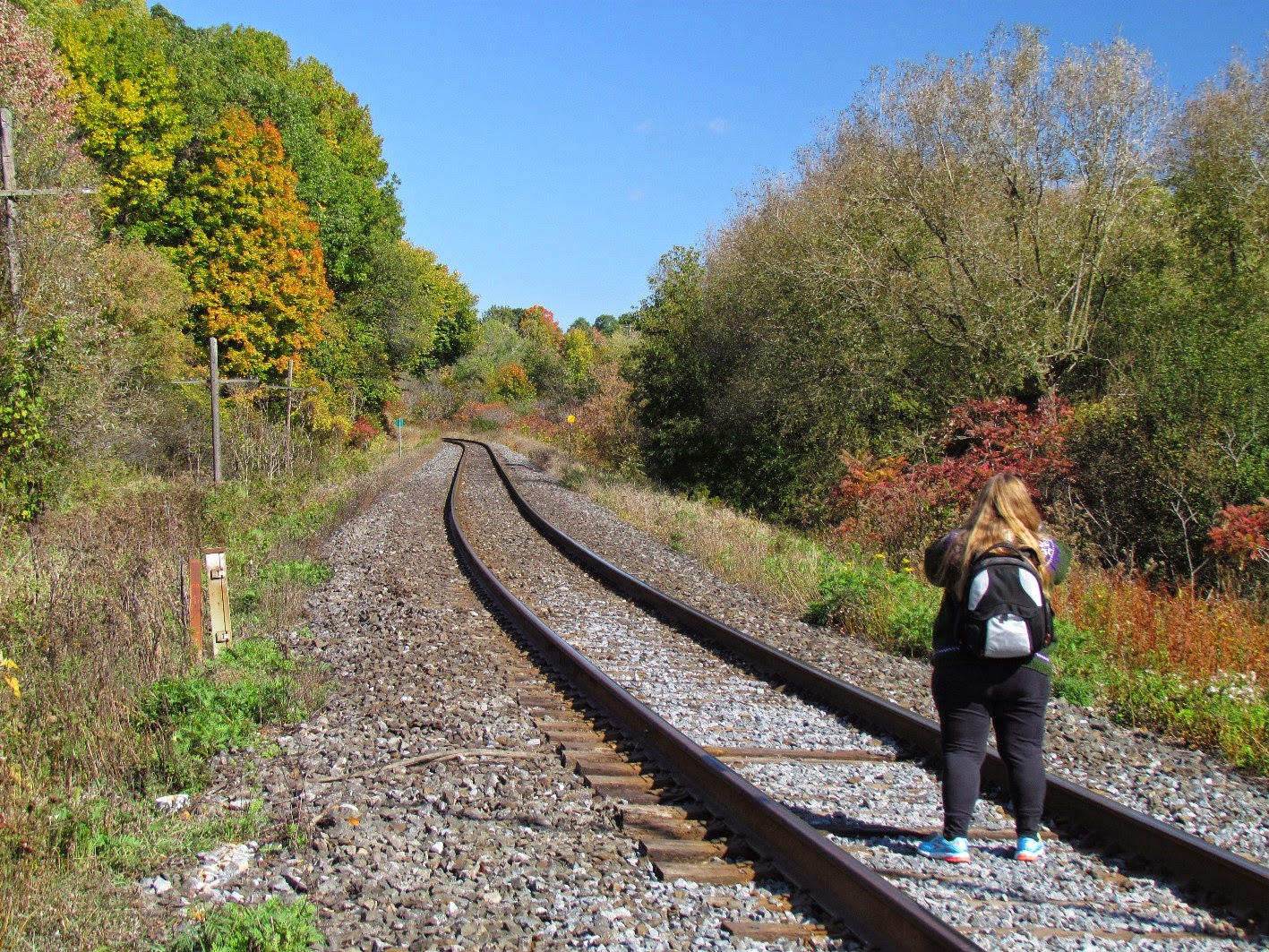 The World of Gord: A Walk Along the Lower Don Valley Trail