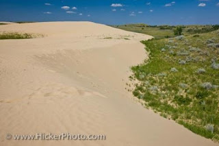 Landforms in the World: Aeolian Landform (06.Sandhill)