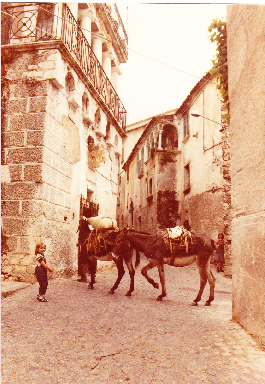 Santomenna: sui sentieri della memoria: La tradizione contadina che unisce