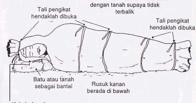 Proses Pembusukan Tubuh Manusia Setelah Mati Dalam Hitungan 0 Menit ...