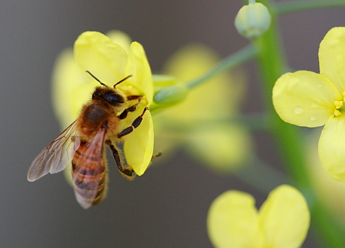 GetawayMoments: Let one go