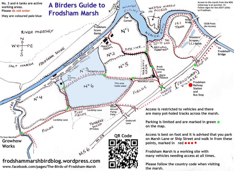 The RSPB Liverpool Local Group: John Shrikes Gold? As You Shrike It?