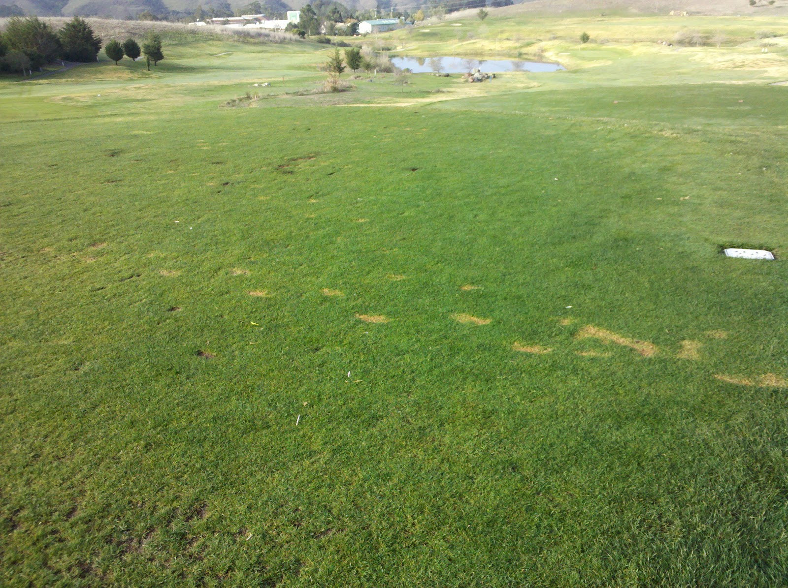 SLO County Golf Courses: Frost delays benefit your golf game...it's true!