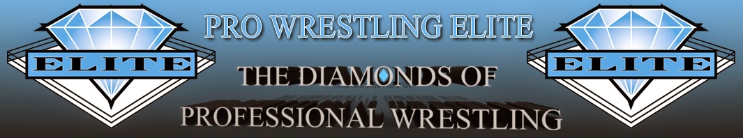 My 1-2-3 Cents : Introducing Pro Wrestling Elite