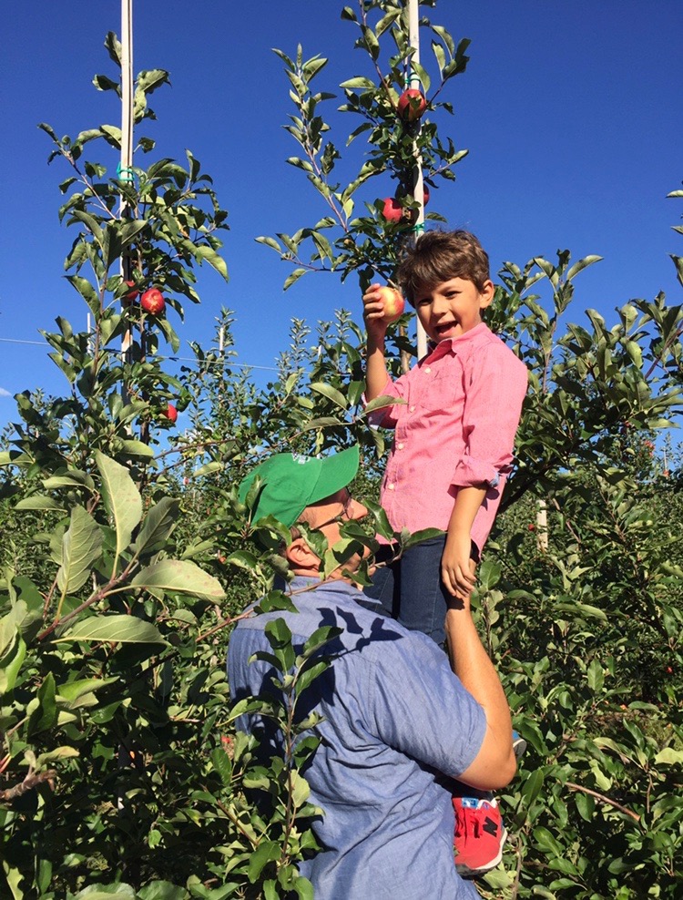 A Harmonious Combination : September 2016