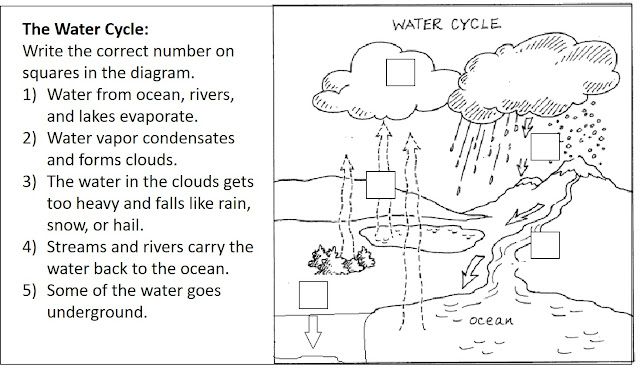 Miss Amida's Third Grade : Water Mind Map and Water Cycle