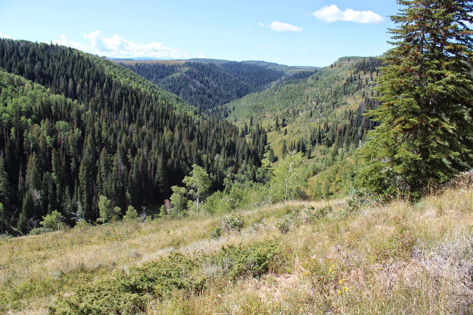 gjhikes.com: Three Forks