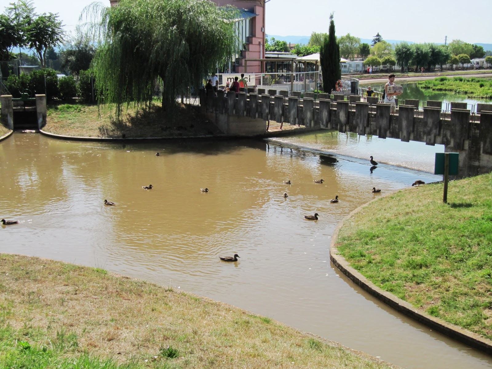 ESCAPADAS: EL PARC DE L´AGULLA - CAMI DE LA SEQUIA (El parque de la ...