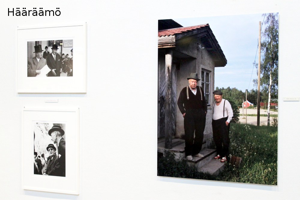 Hääräämö: maaliskuuta 2012