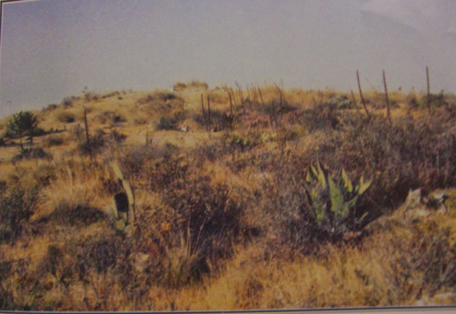 Zonas Arqueológicas de Puebla: El Tecamachalco prehispánico