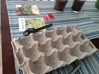 Starting Small and Growing Tall: Egg Carton Gardening