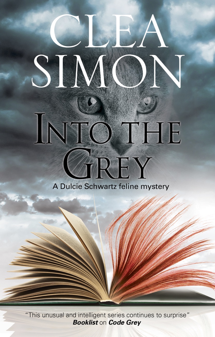 Presenting “INTO THE GREY” | Clea Simon