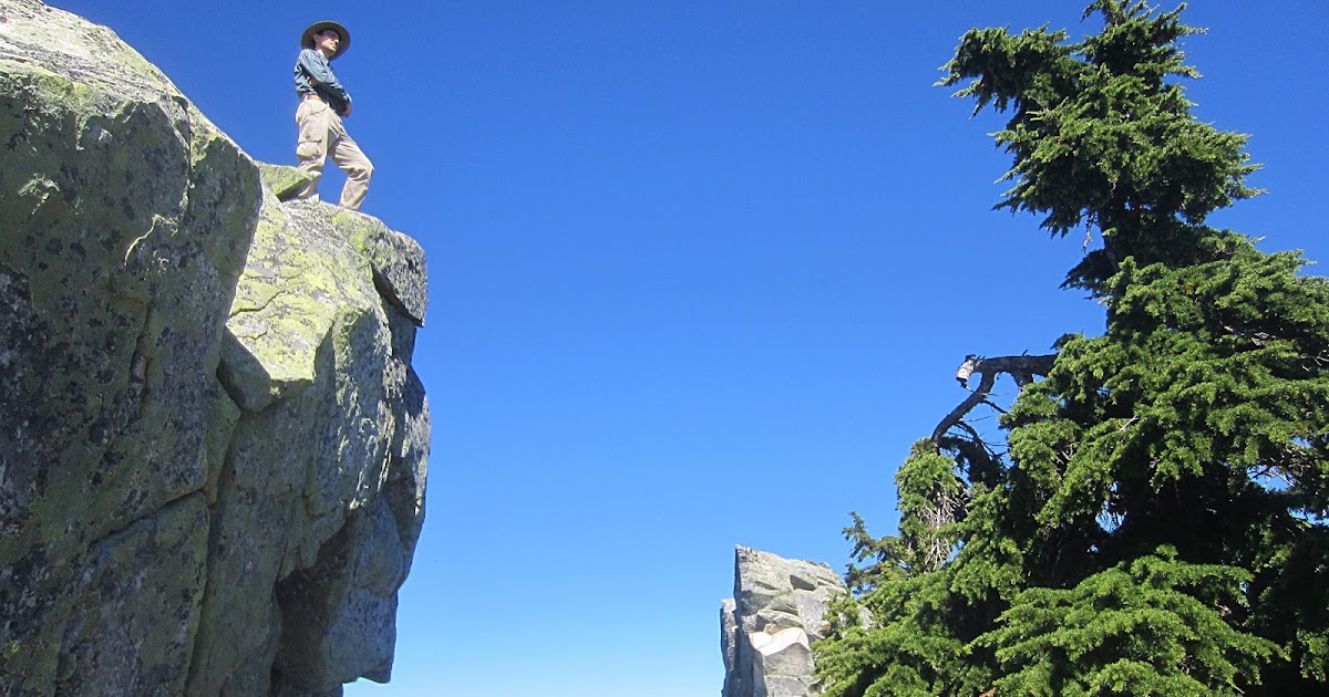 Andrey Solovyev: Пять хайков этим летом