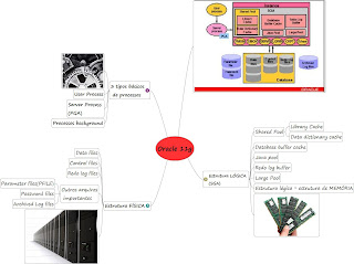 Mapas mentais para concursos de TI: Oracle 11g - Administração