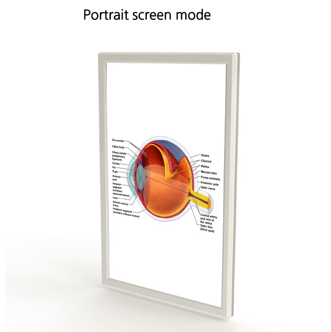Digital Acuity System, LCD Eye Chart: The latest LCD Digital visual ...