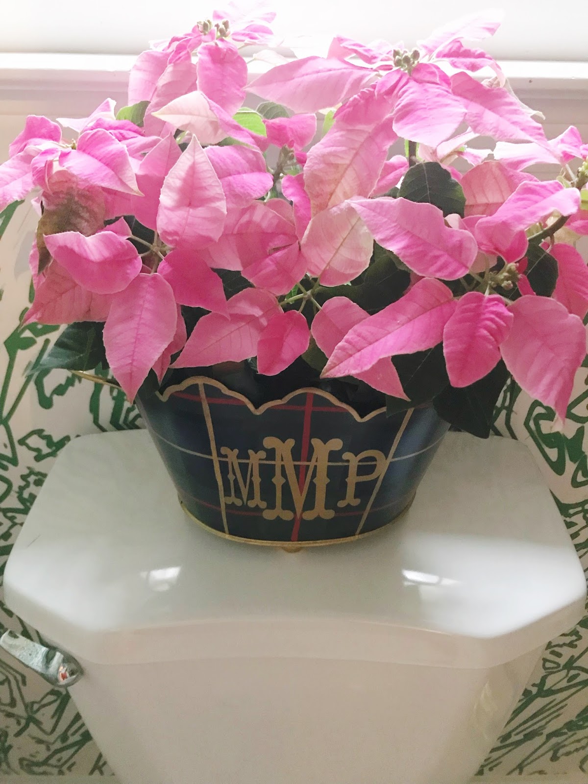 the pink clutch ...: Plaid Cachepots For The Win