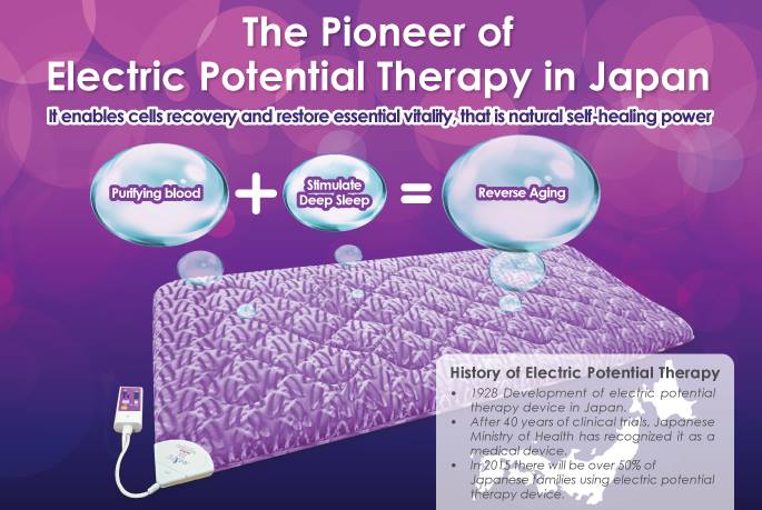 AMLIFE ELECTRIC POTENTIAL THERAPY MATTRESS