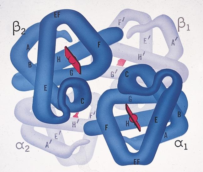 TU VIDA Y MUERTE DETERMINADA POR ÉL