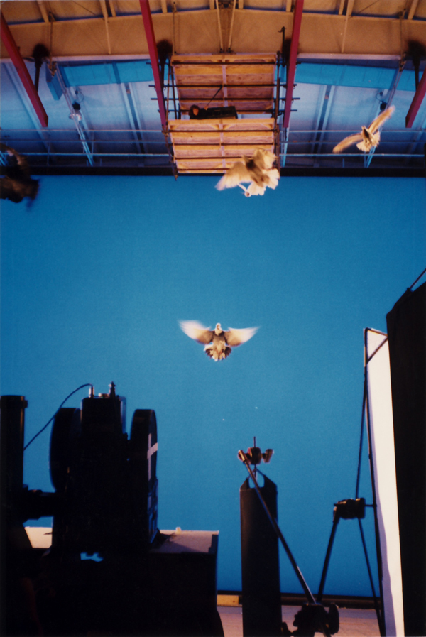 Fülle Circle Magazine: "The Making of Universal Studios Florida: A ...