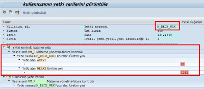 SAP FI Modülü ve IS Retail Hakkında Kısa Kısa...: SAP Yetki Sorunu ...
