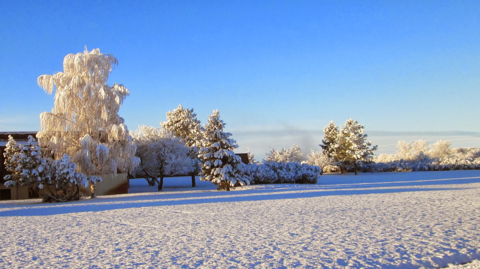 Smith's Montana Messages