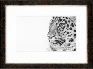 Clive Meredith Wildlife Art: Newly framed pencil drawings