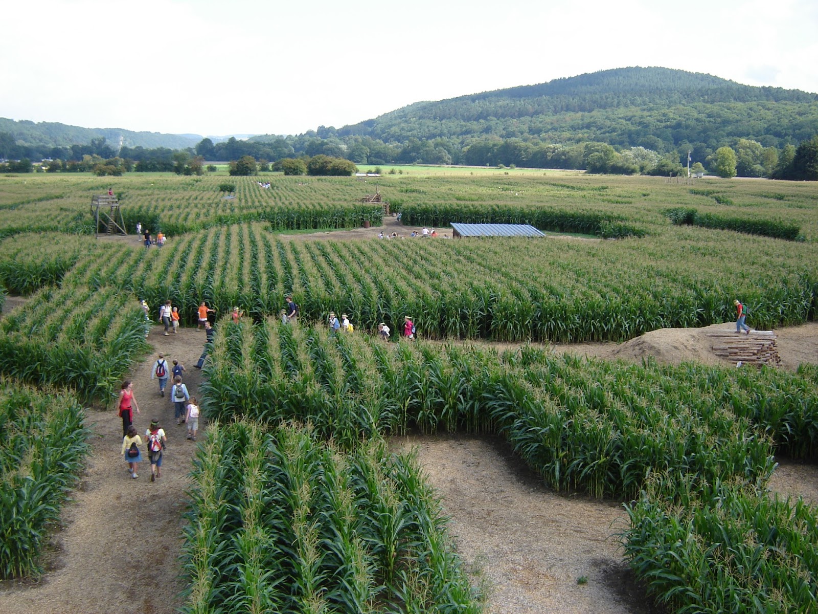 The Labyrinth of Barvaux