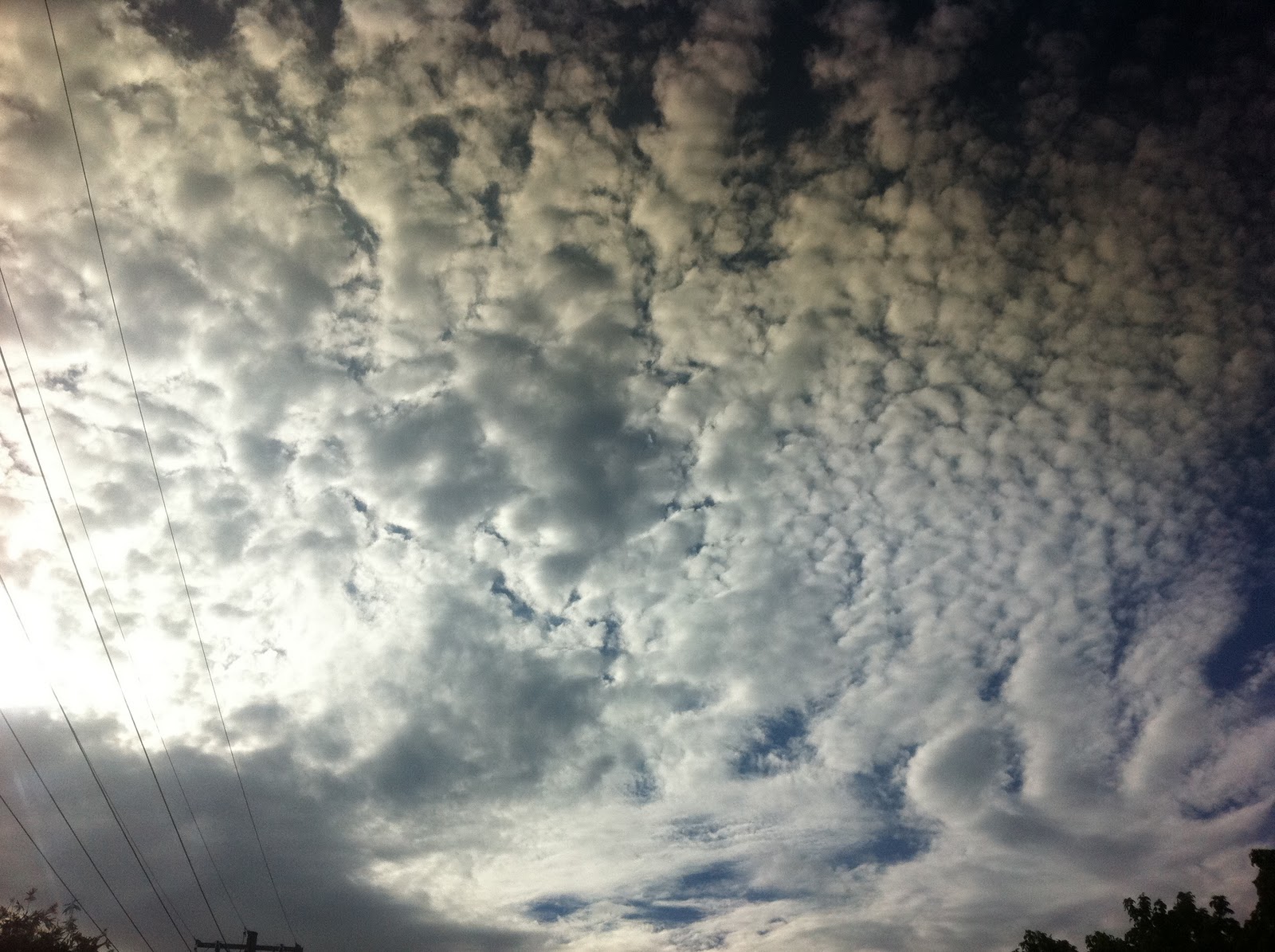 Alicia5D: Crazy Clouds