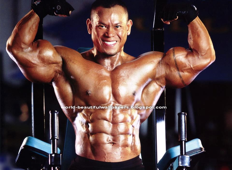 Beautiful Wallpapers: top bodybuilders pictures