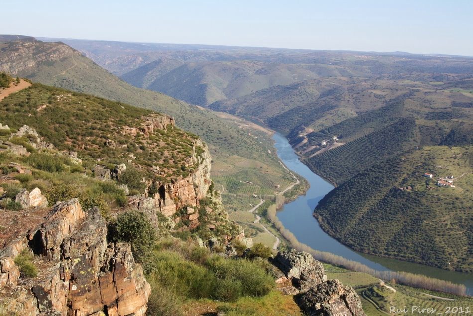 OLHAR d' OURO: OLHAR D' OURO SOBRE O DOURO...