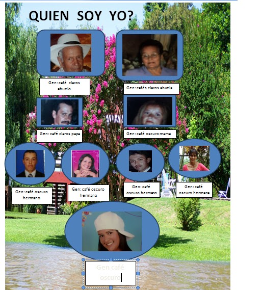 Albor geneologico - Imagui