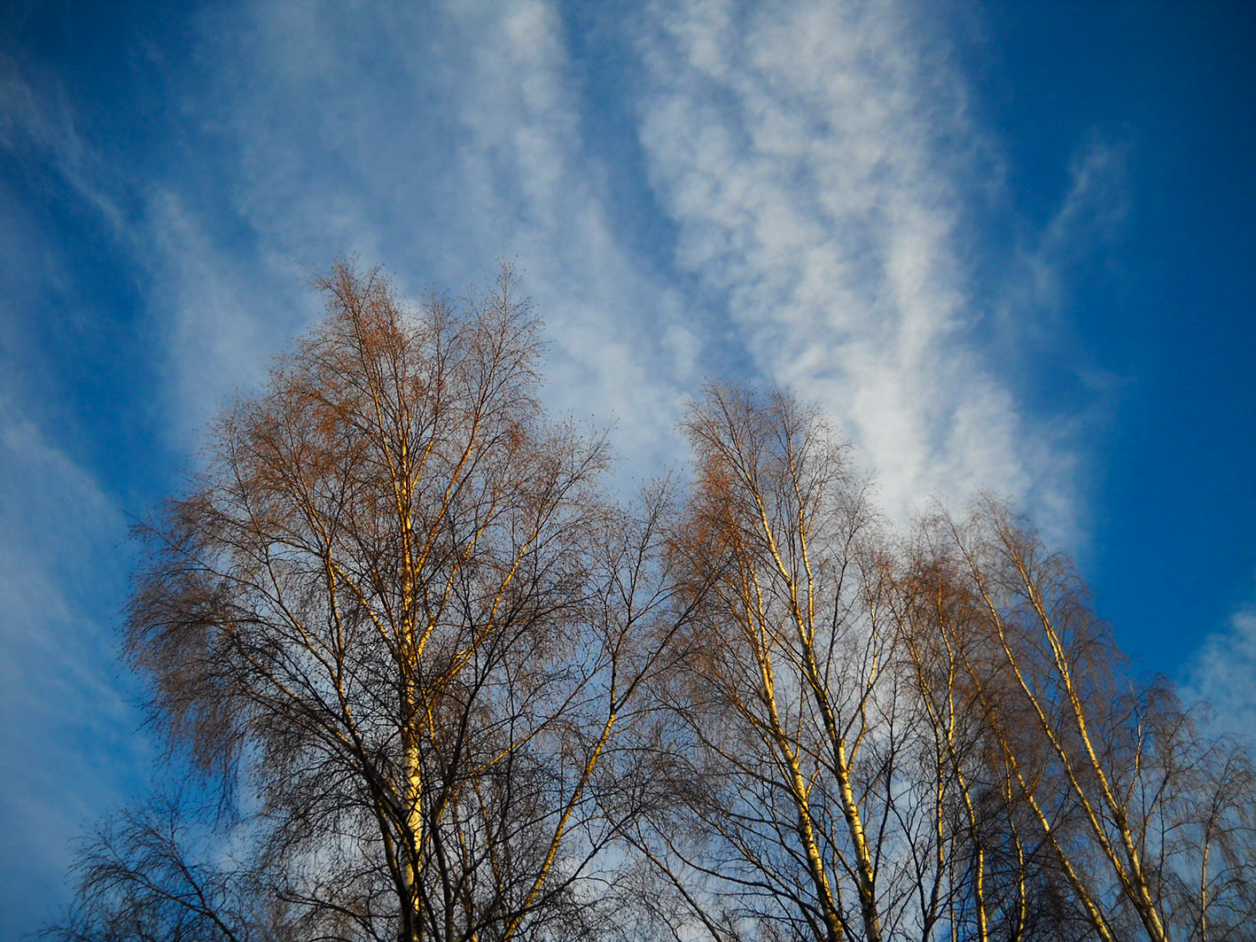 My Nature Photography: Early Spring Clouds