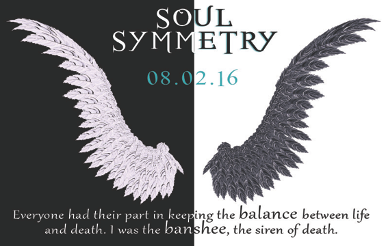 BooksChatter: ☀☄ Soul Symmetry: Raven [3] - J.L. Weil