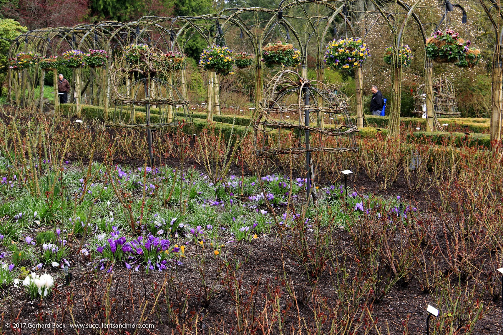Butchart Gardens on the cusp of spring