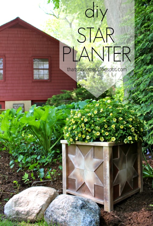 DIY Star Planter - Jaime Costiglio