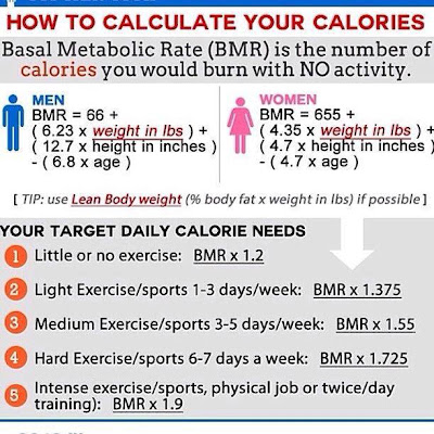 ShowMe Nan: How To Calculate Your Calories